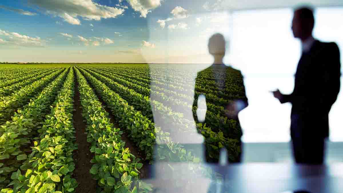 El Perito Agrícola y el control legal de los terrenos